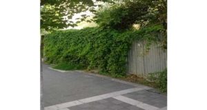 «ΟΦΕΙΛΟΜΕΝ ΗΜΕΙΣ ΟΙ ΔΥΝΑΤΟΙ ΤΑ ΑΣΘΕΝΗΜΑΤΑ ΤΩΝ ΑΔΥΝΑΤΩΝ ΒΑΣΤΑΖΕΙΝ» - e ...
