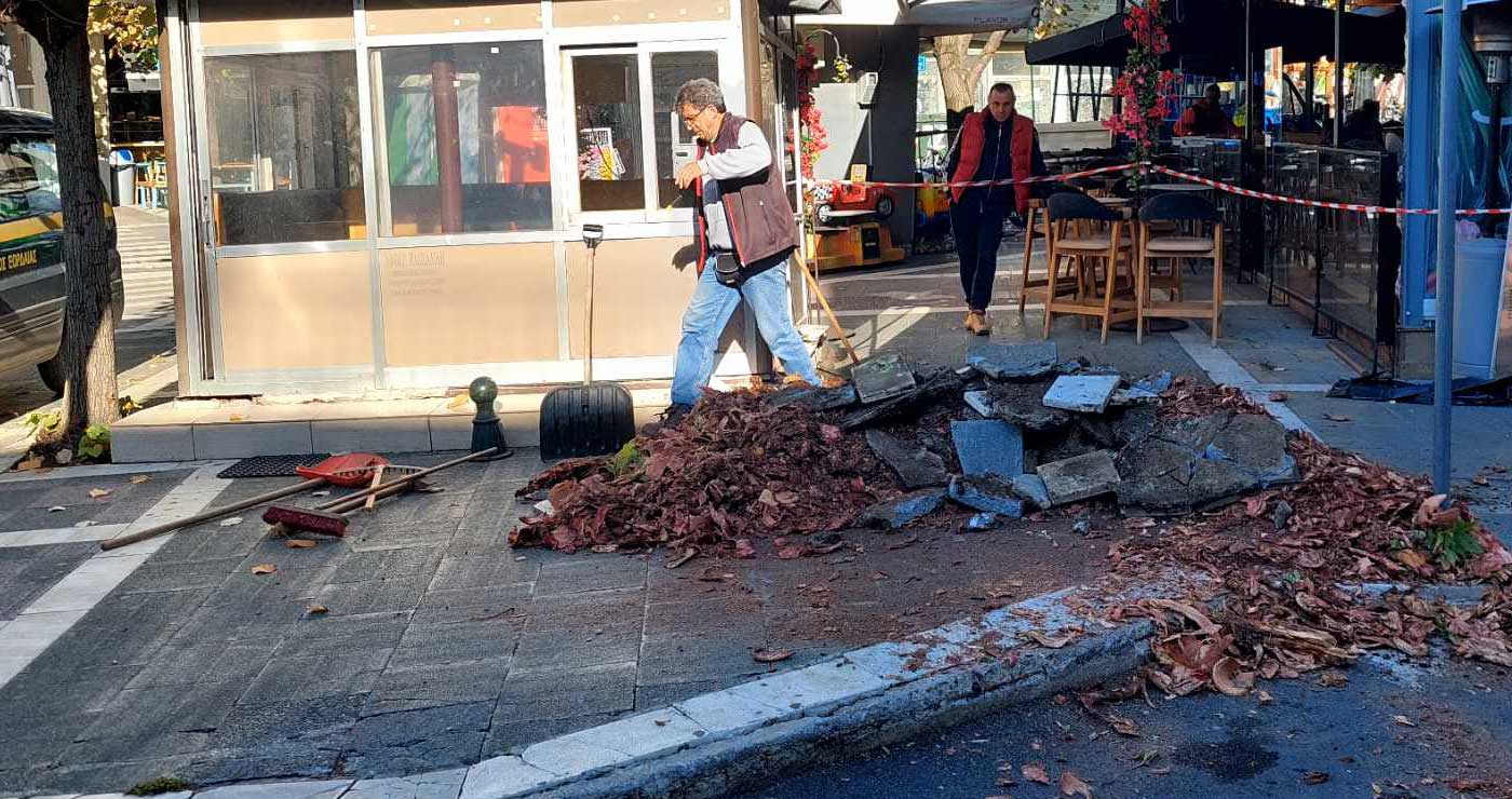 Πτολεμαΐδα: Απομακρύνθηκε το κουφάρι του δέντρου στην πιάτσα των ταξί ...