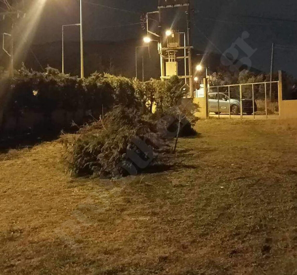 "Τα είχα για φύλακες" λέει ο 37χρονος για τα σκυλιά που κατασπάραξαν ...